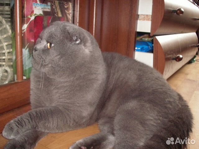 На вязку приглашаю девочек