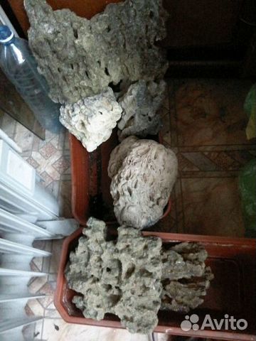 Песчаник и ракушечник