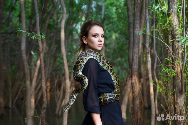 Животные в аренду(змеи,пауки,сова)