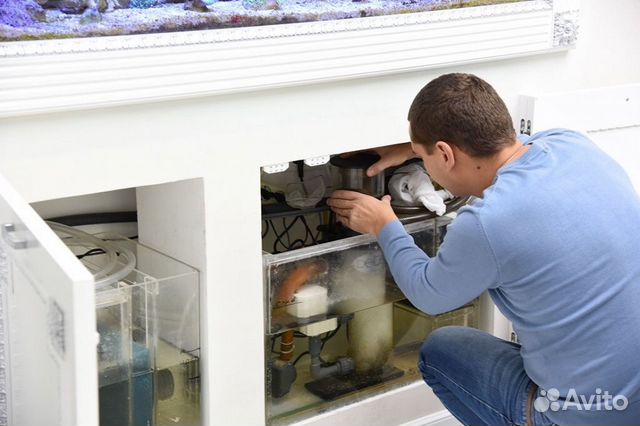 Обслуживание аквариумов