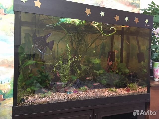 Аквариум Pro 170 Акваплюс