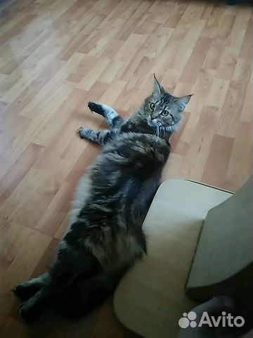 Мейкун для вязки