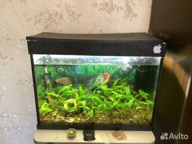 Аквариум 100л