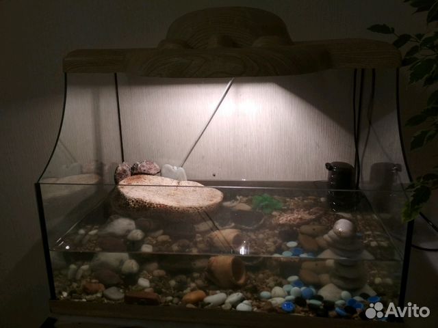 Акватеррариум для черепахи