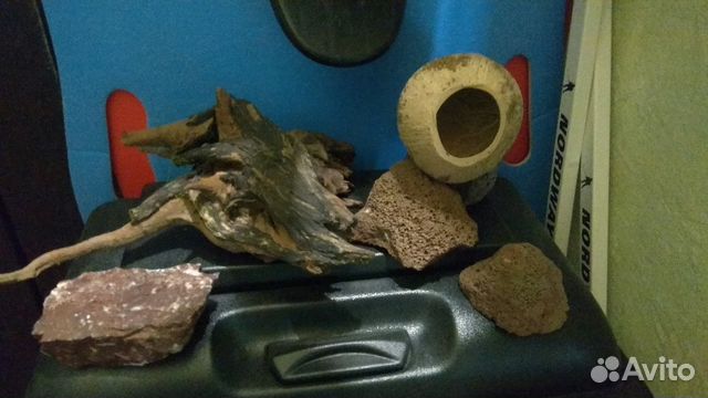 Аквариум + стартовый набор