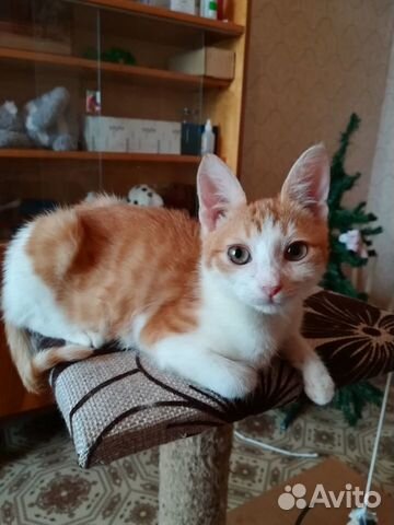 Ласковый малыш ждет родителей