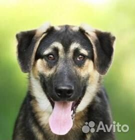 Байкер-настоящий пацан и красавец. Умный, классный