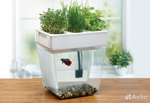 Аква-ферма Новая модель V-3.0 полностью прозрачная