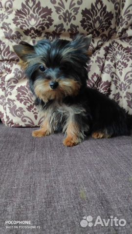 Супер мини девочка