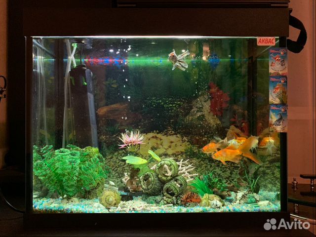 Продам аквариум с рыбками