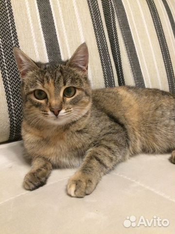 Чудесная девочка Маруся ищет свой дом