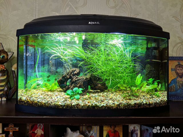 Панорамный аквариум Aquael 55л