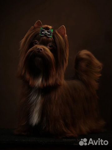 Открыт для вязок