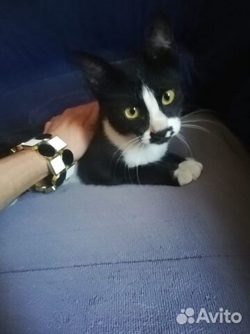 Маруся ищет дом