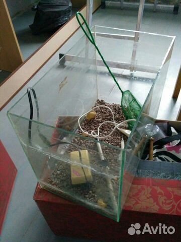 Аквариум с аксессуарами