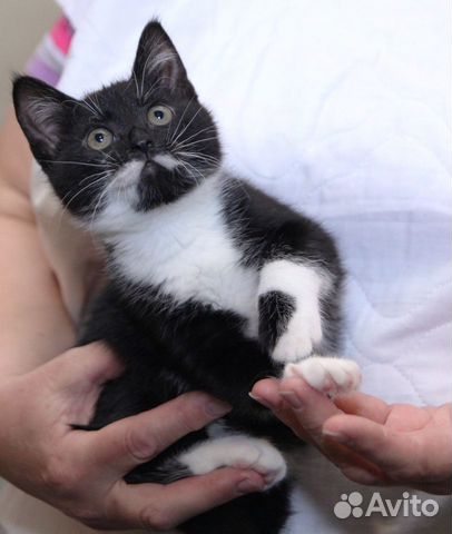 Впустите нежное счастье в ваш дом