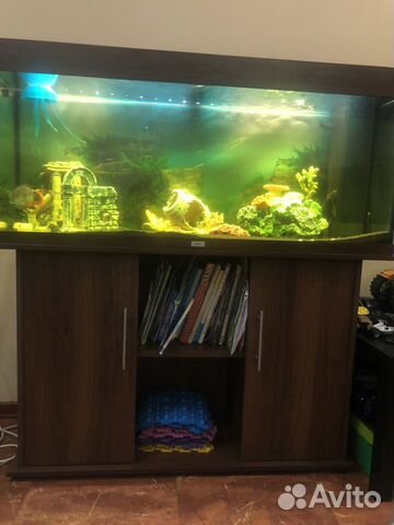 Аквариум