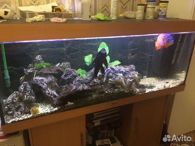 Аквариум 450л