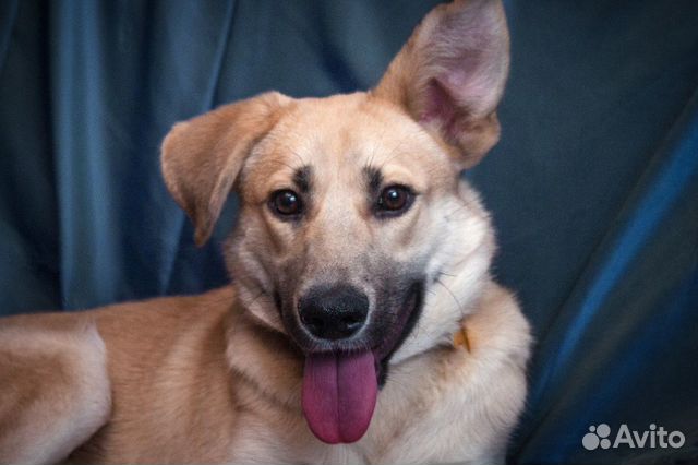 Милашка Ванечка