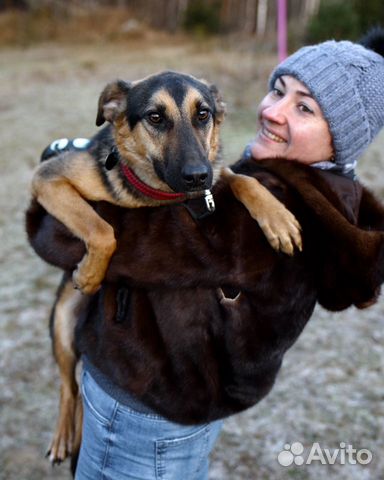 Девочка красавица