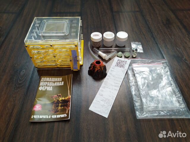 Муравьиная ферма куб