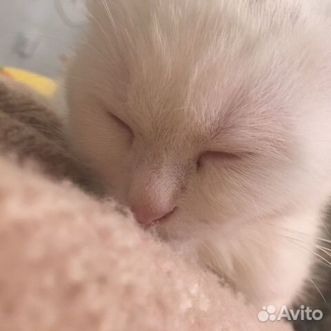 Вязка