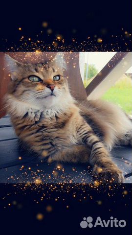 Афродита ищет новый дом