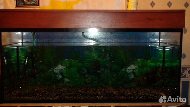 Аквариум 420 литров