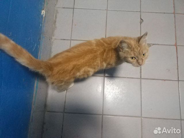 Добрые ладошки для маленькой ласковой девочки