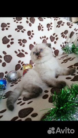 Сладкий подарочек