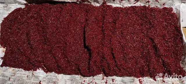 Кормовой мотыль "лиман"