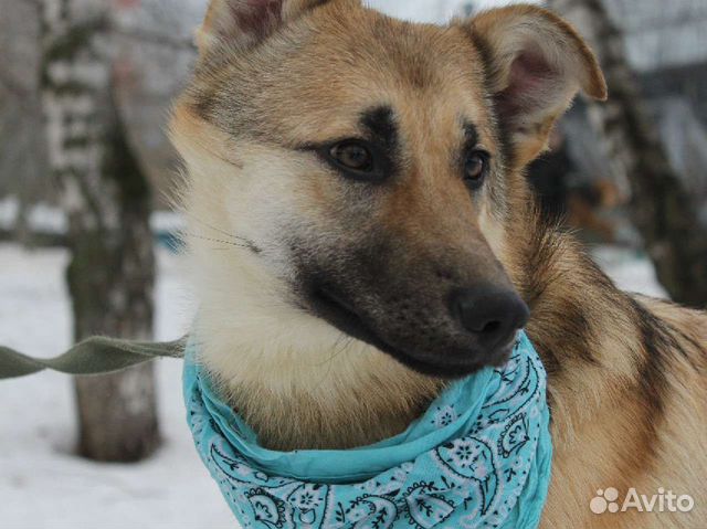 Пусть мама услышит, пусть мама придёт