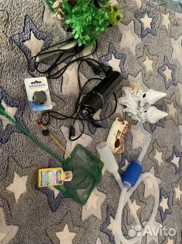 Все что нужно для запуска аквариума