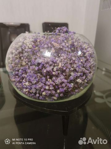 Аквариум круглый для петушка, цветов, декора