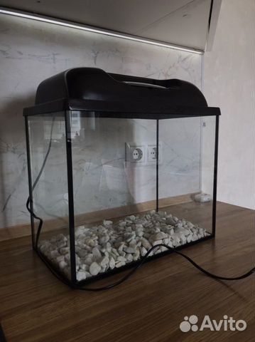 Аквариум со всей атрибутикой