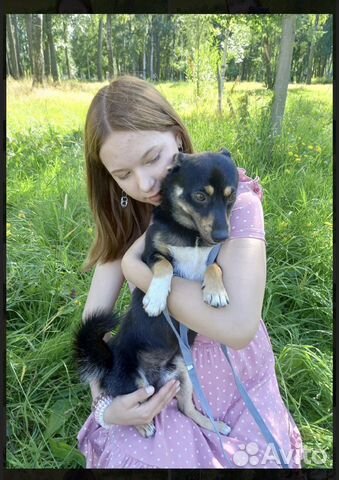 Гномик 1 год