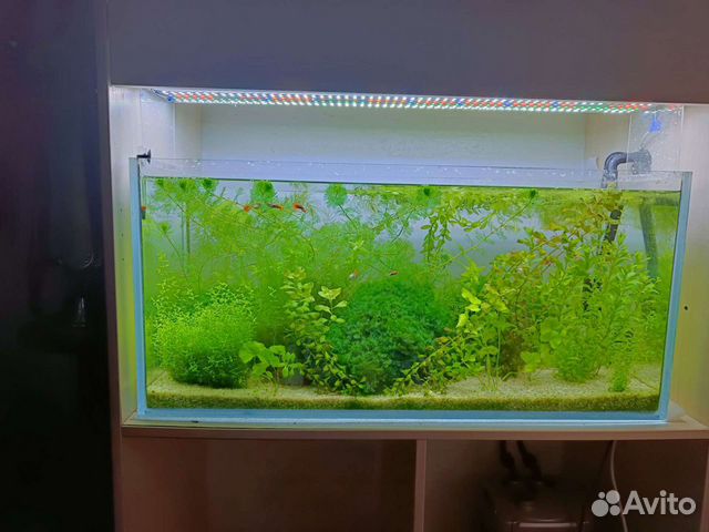Аквариум оптивайт 125л