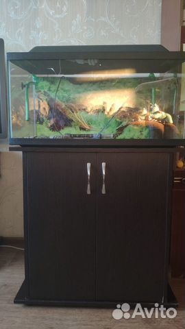 Продам аквариум