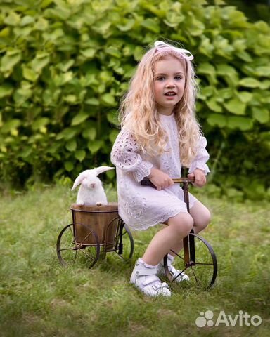 Декоративные крольчихи в добрые руки