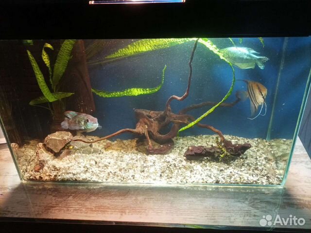 Аквариум