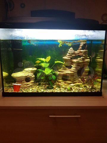 Аквариум с рыбками 100 литров