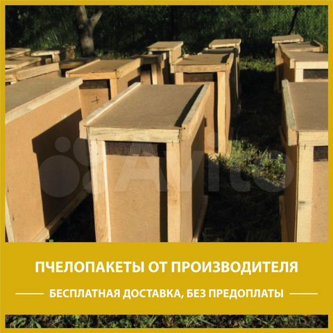 Пчелопакеты: карника, карпатка, бакфаст