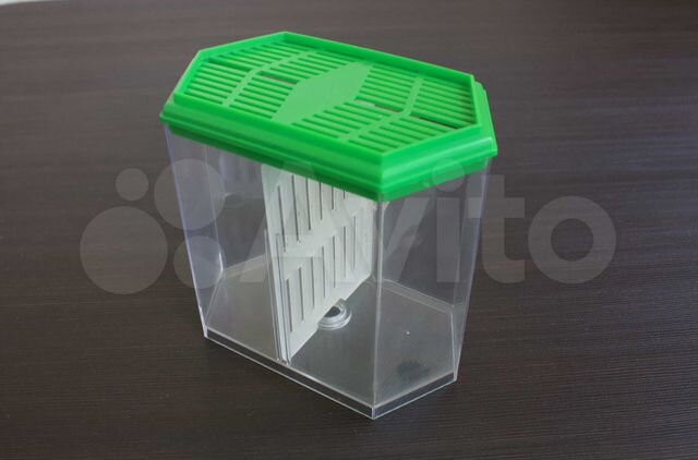 Отсадник для рыбок на присосках