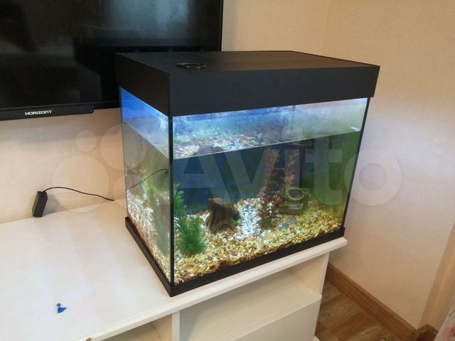 Аквариум с подсветкой и фильтром